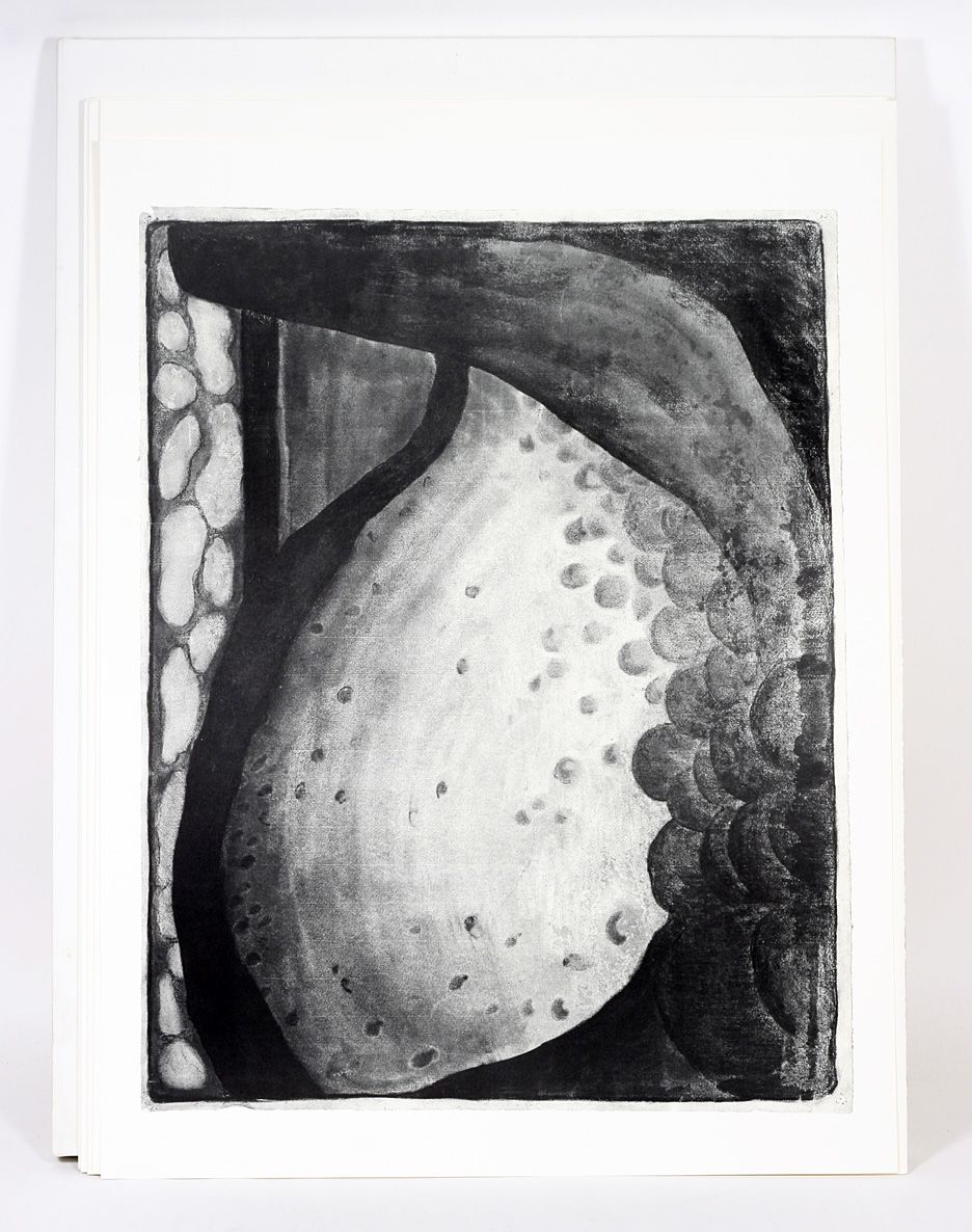 Georgia O'Keeffe Drawings | GEORGIA O'KEEFFE | First edition